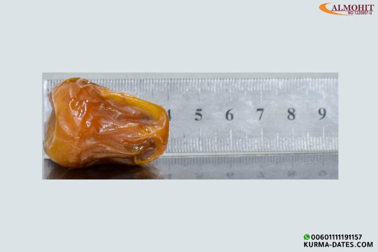 Sukkari Dates Rutab | best type of sukkai dates - Kurma Dates