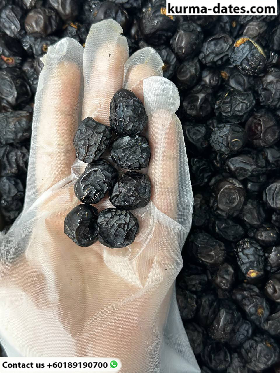Original Ajwa Khajoor Dates Price | Buy the Best Al madina Ajwa Dates ...